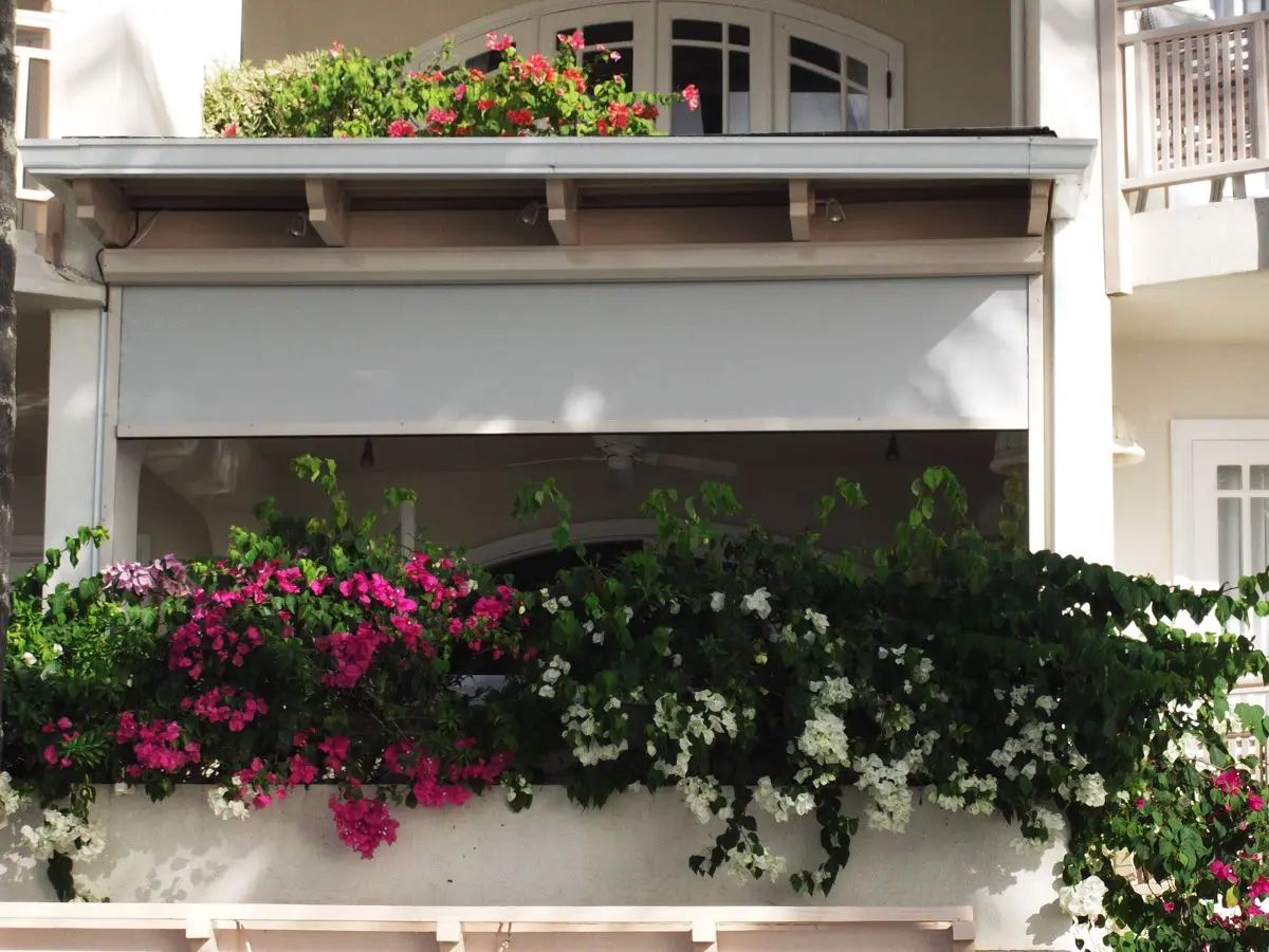 SunGuard Retractable Screens – CariGuard